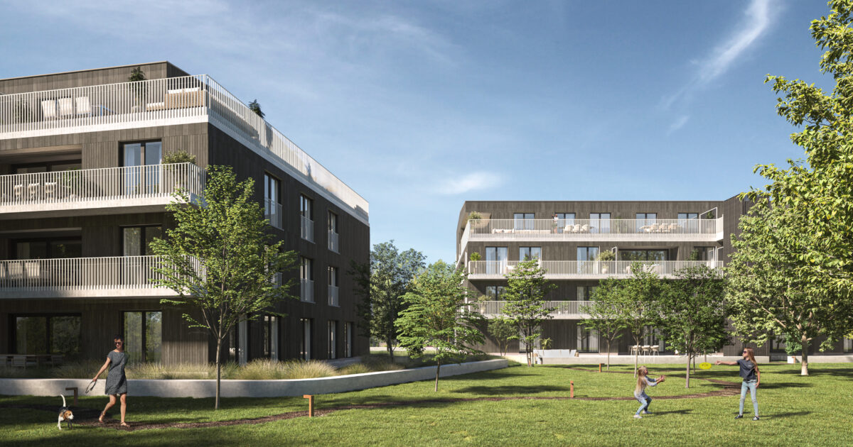 Antonissen | What are the new rainwater regulations?